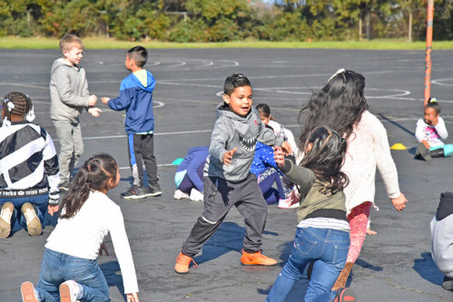 Animal Tag | Playworks